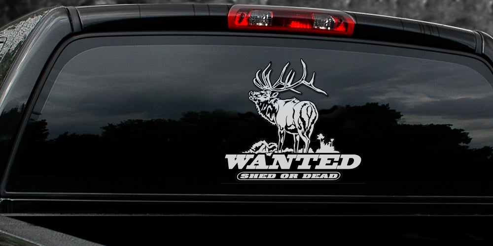 BULL ELK DECAL Titled "WANTED SHED OR DEAD" By Upstream Images ...