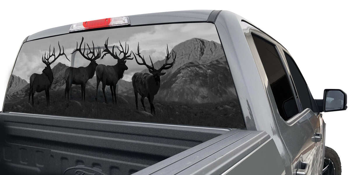 BULL ELK ON THE SKYLINE WINDOW GRAPHIC – Upstream Images